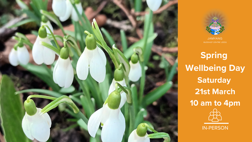 Spring Wellbeing Day — Jamyang Buddhist Centre Leeds