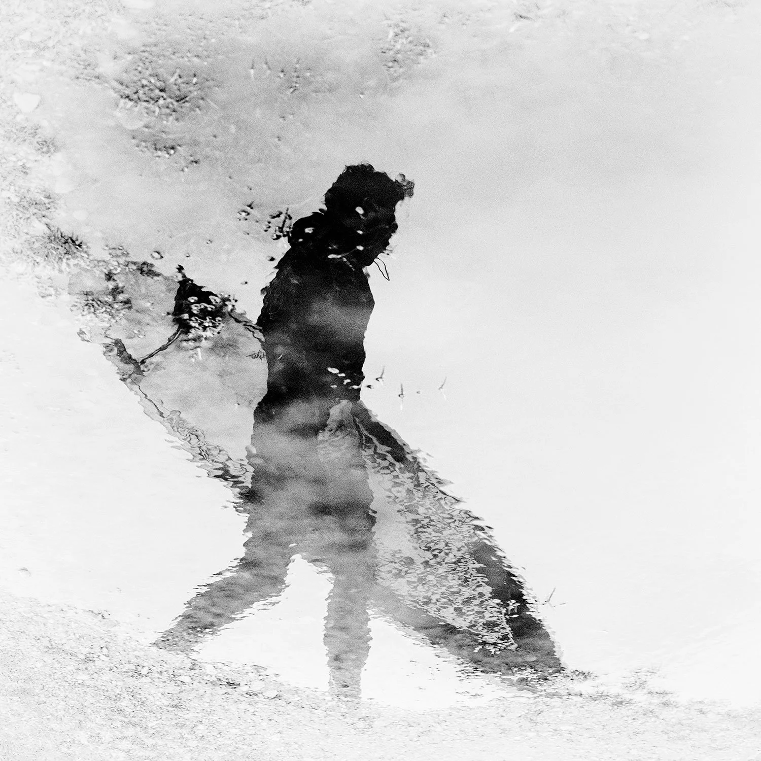 ANDREW LEVER FINE ART PHOTOGRAPHY | Buy The Finest Photo Prints from ...