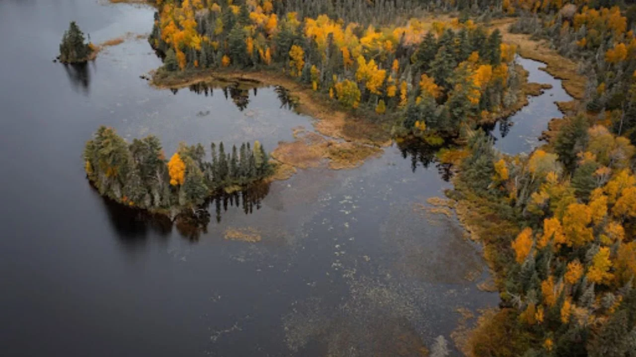Romantic Minnesota Getaways: Hiking Trails That Bring You Back to Each ...