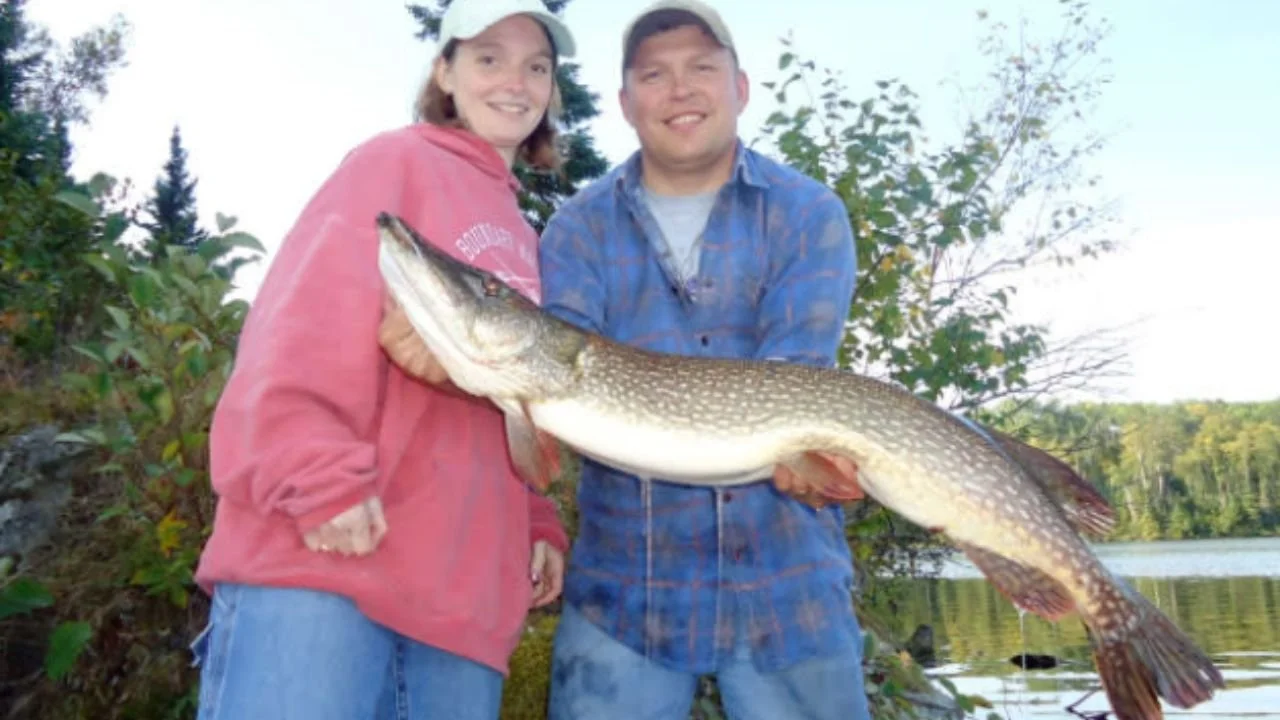 When Is Fishing Open in MN? 2026 Dates & Ely Tips | Timber Trail Lodge ...