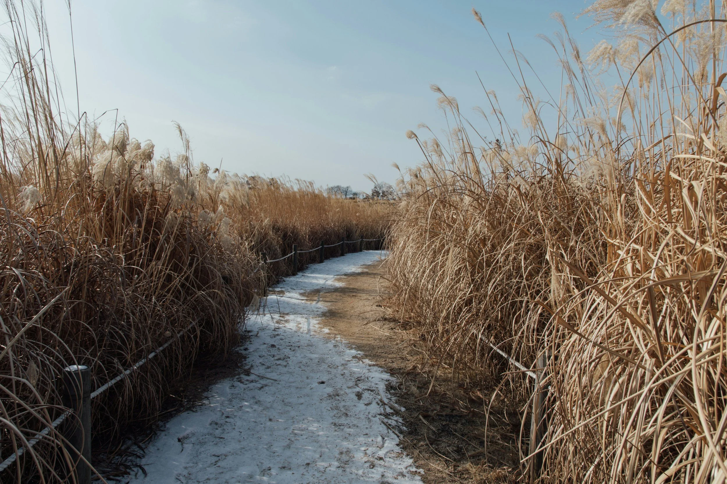 7 Paths Forward | Executive Coaching & Leadership Development