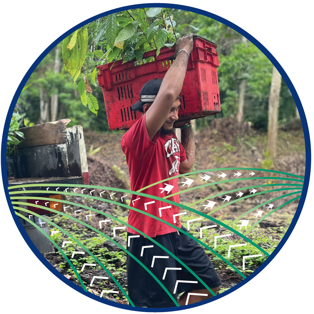 Samoa Export Authority