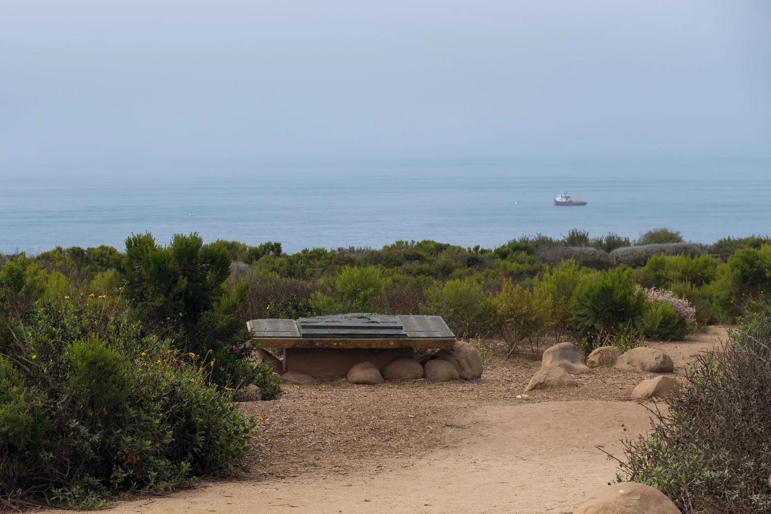 A Wildlife Hike at Carpinteria Seal Rookery: Field Notes, Trail Tips ...