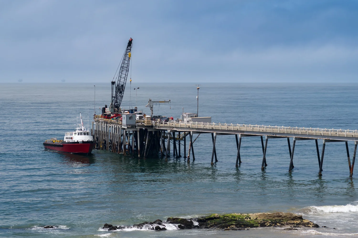A Wildlife Hike at Carpinteria Seal Rookery: Field Notes, Trail Tips ...