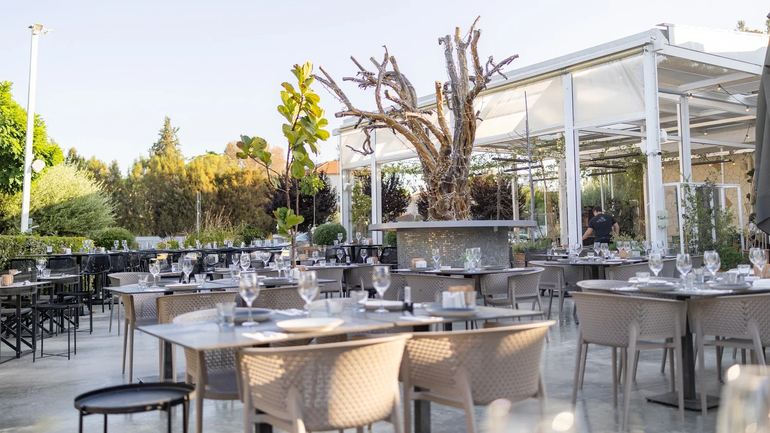 Παλαιά Ελιά / Palaia Elia | | Εστιατόρια, Catering & Event Planning στη ...