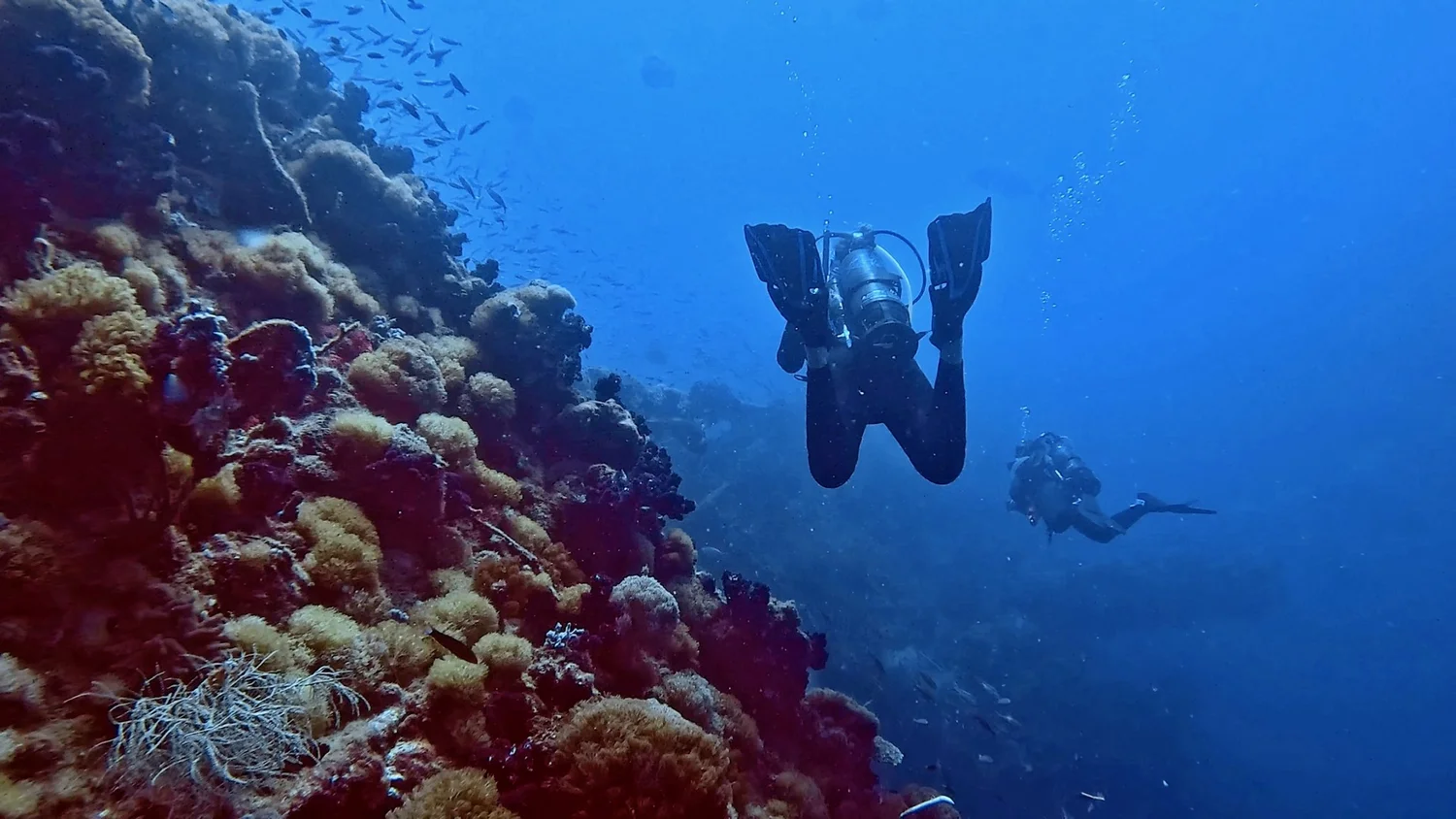 Pleasure Divers Magnetic Island — Diving Yongala & MOUA