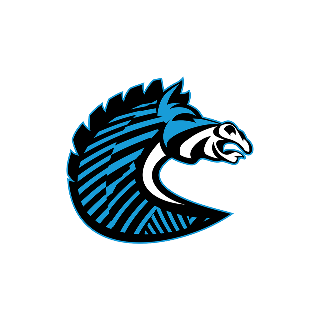 R1 - Racing Released