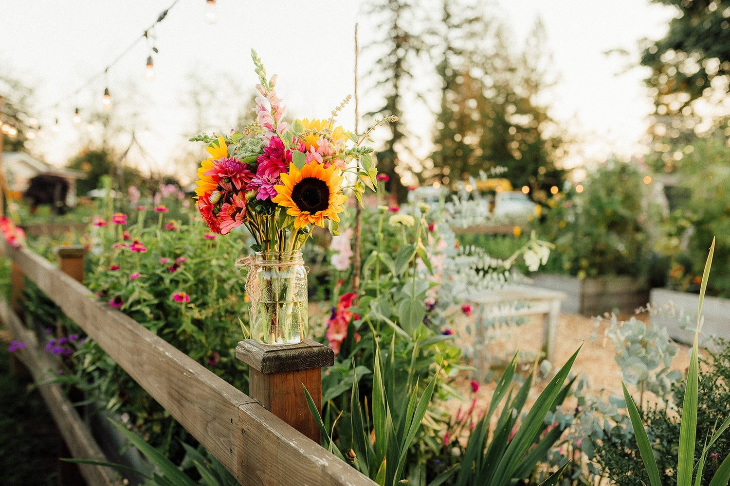 The Frequency Farm | Discover Vibrant Experiences