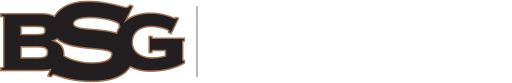 BSG Inc