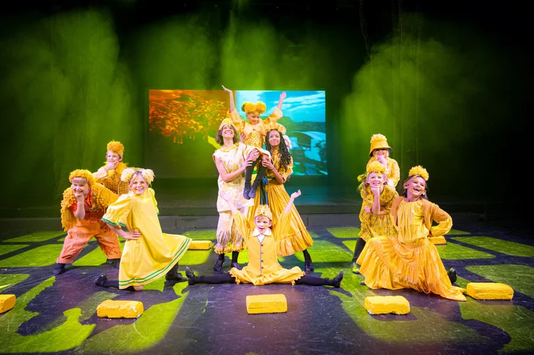 Fantasy Playhouse Children's Theater & Academy