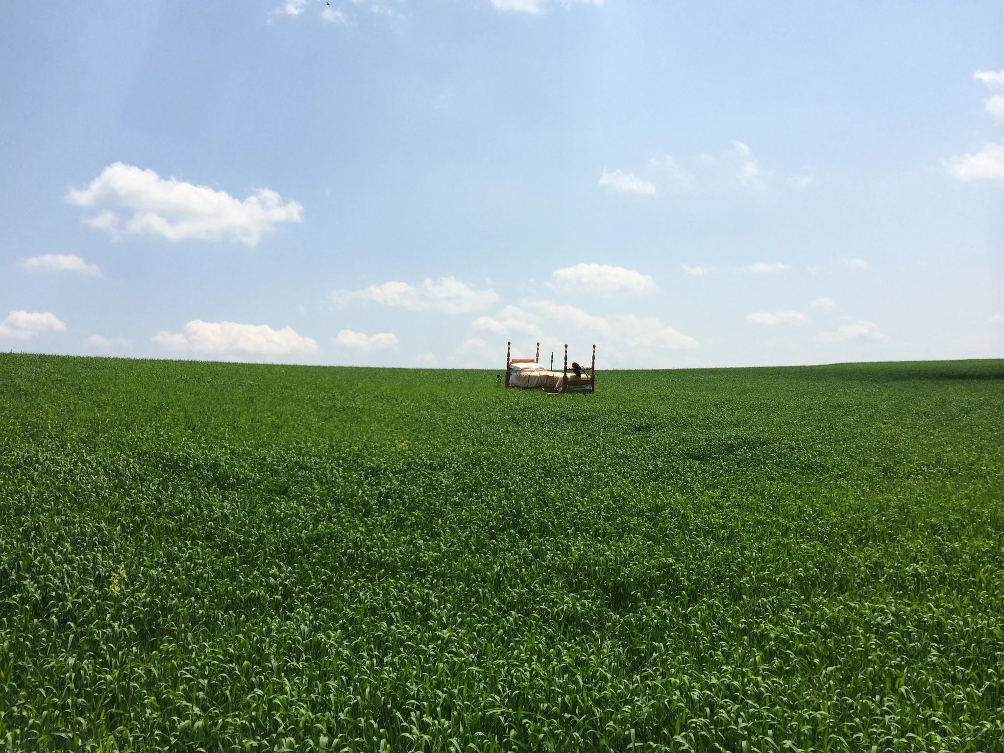 Accommodations — CABOOSE FARM