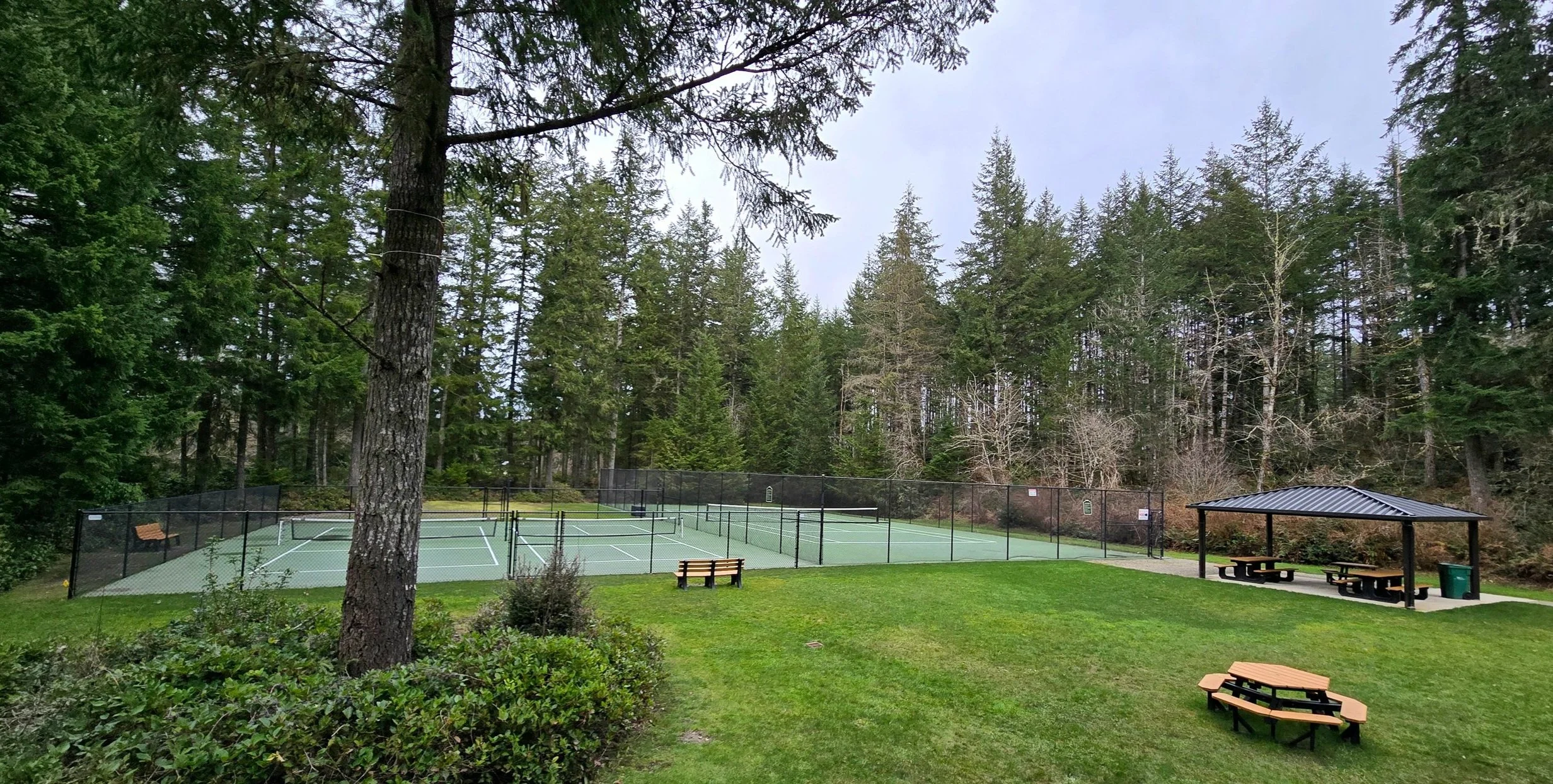About MPTC — McCormick Pickleball & Tennis Club