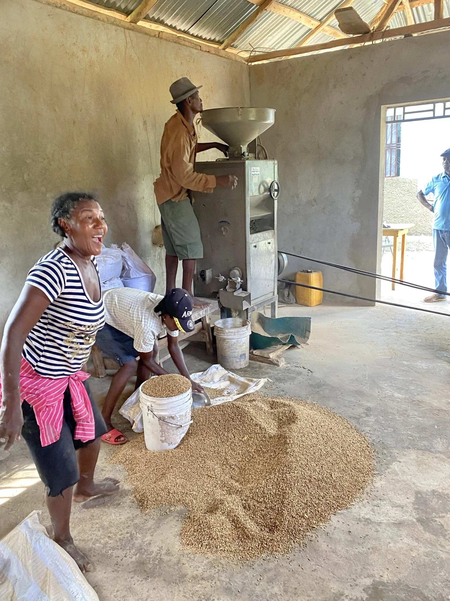 Haiti Development Institute