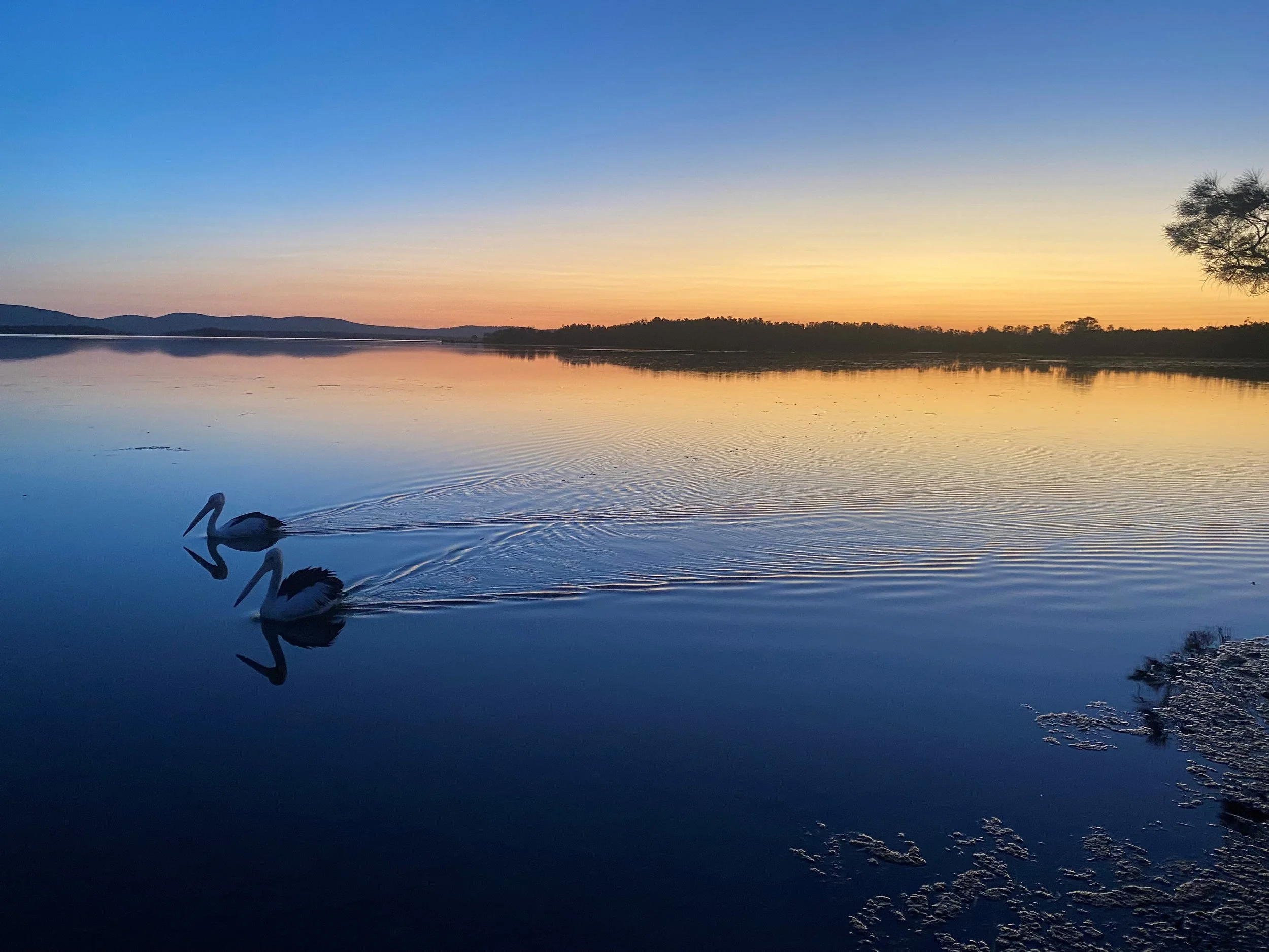 Lakeside Forster Village — Discover Lakeside Living