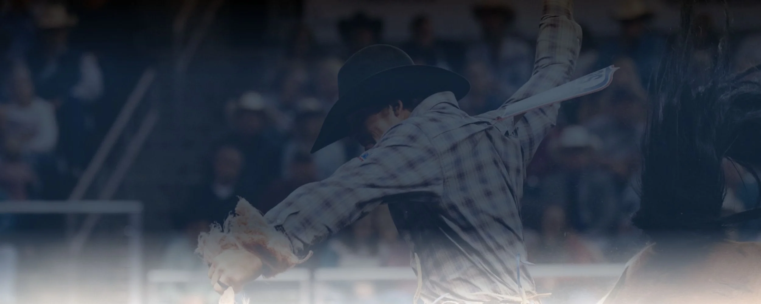 Texas Gold — The Texas Mint