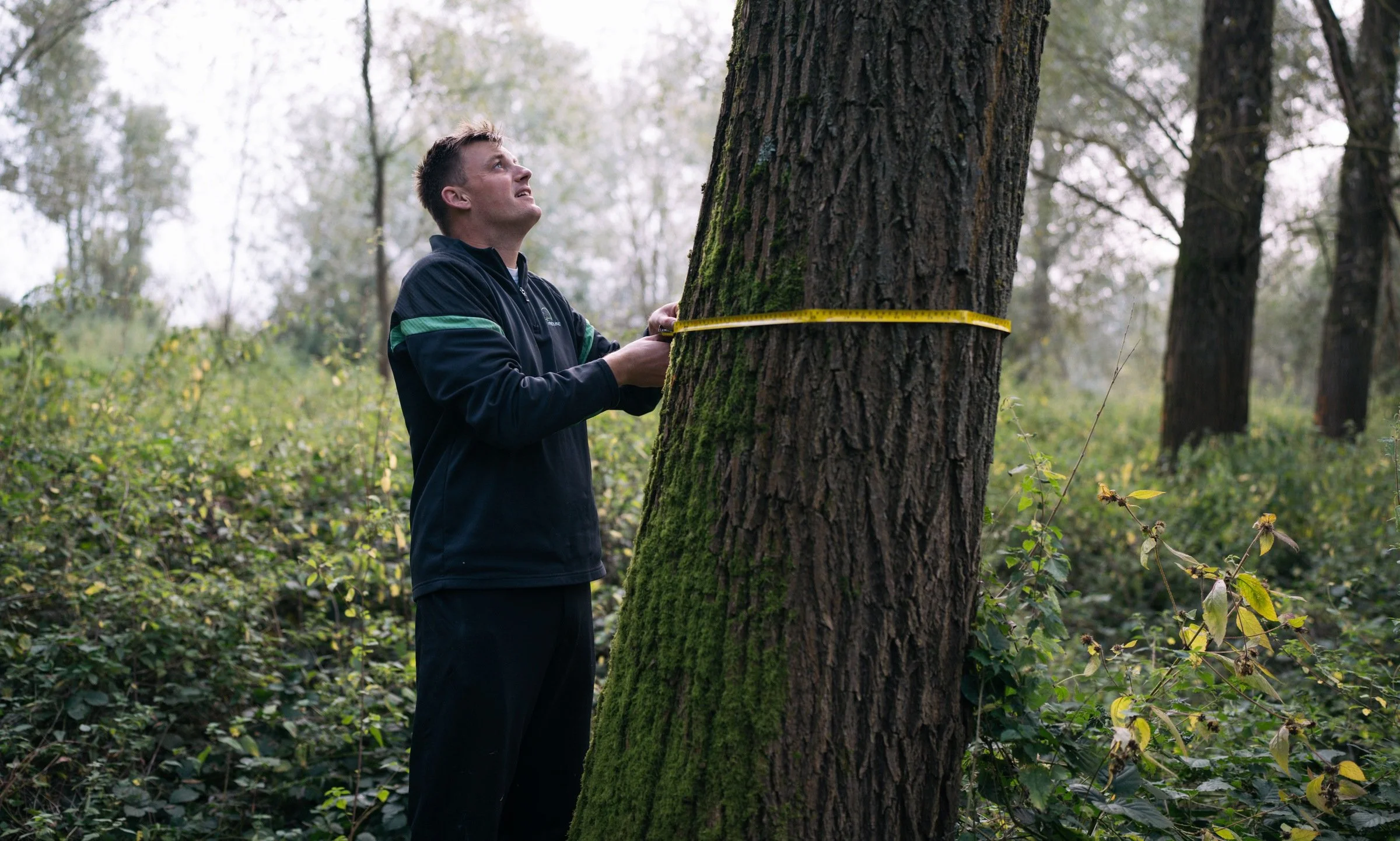 Wombat Willow | Premium British Willow Growers
