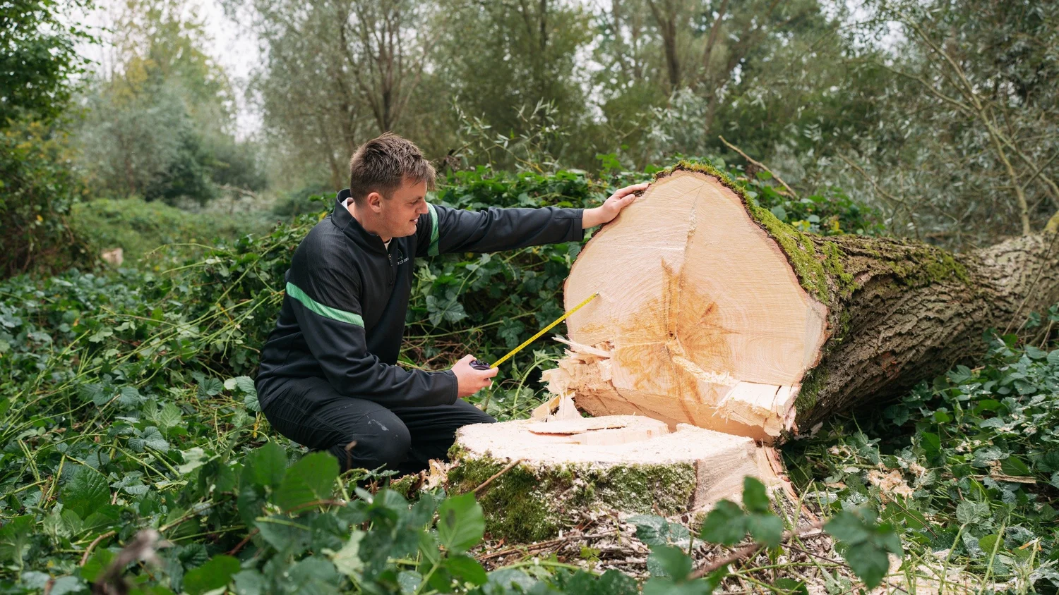 Wombat Willow | Premium British Willow Growers