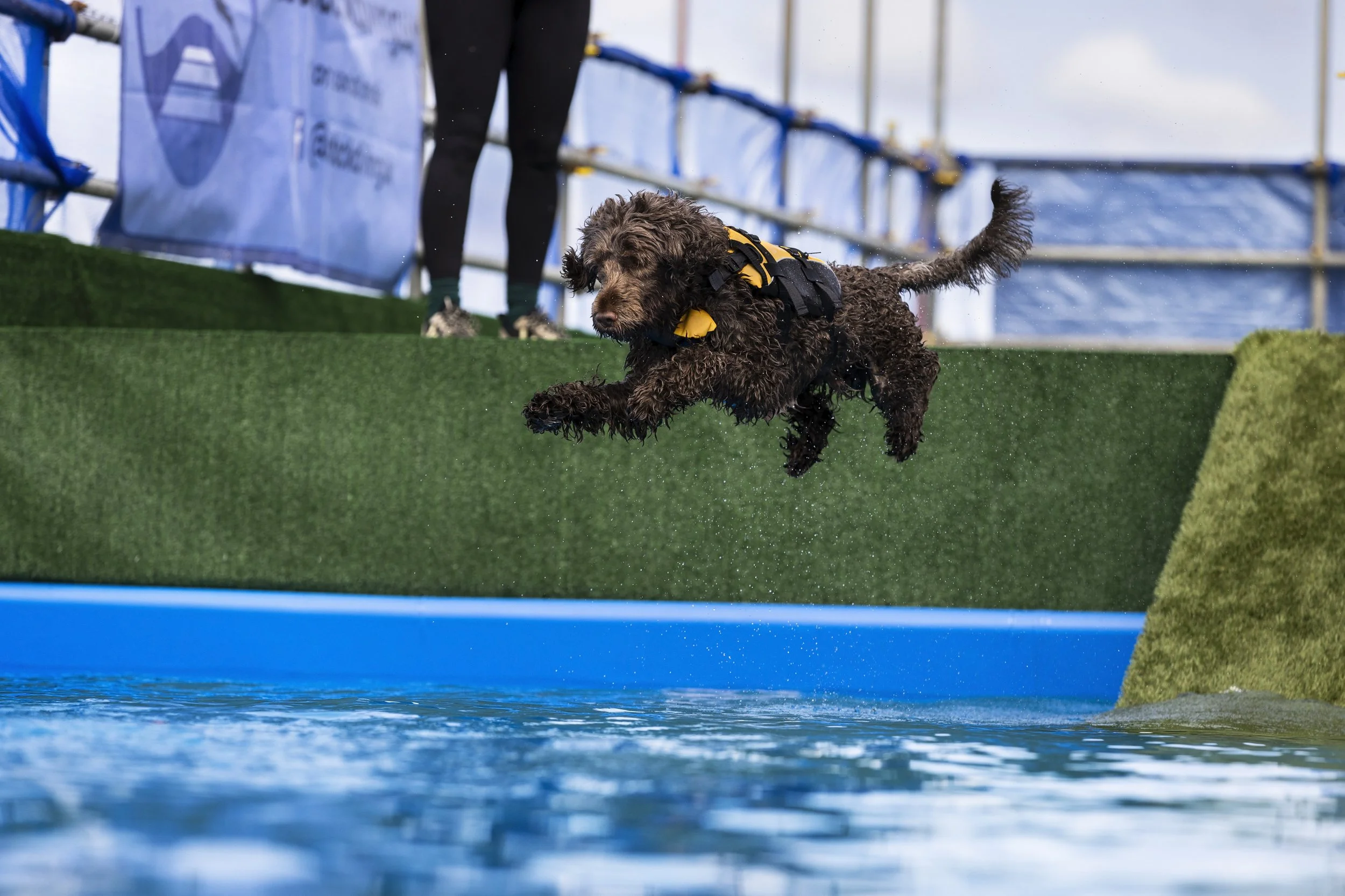 Dock Diving UK