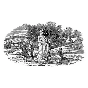 The Bewick Society