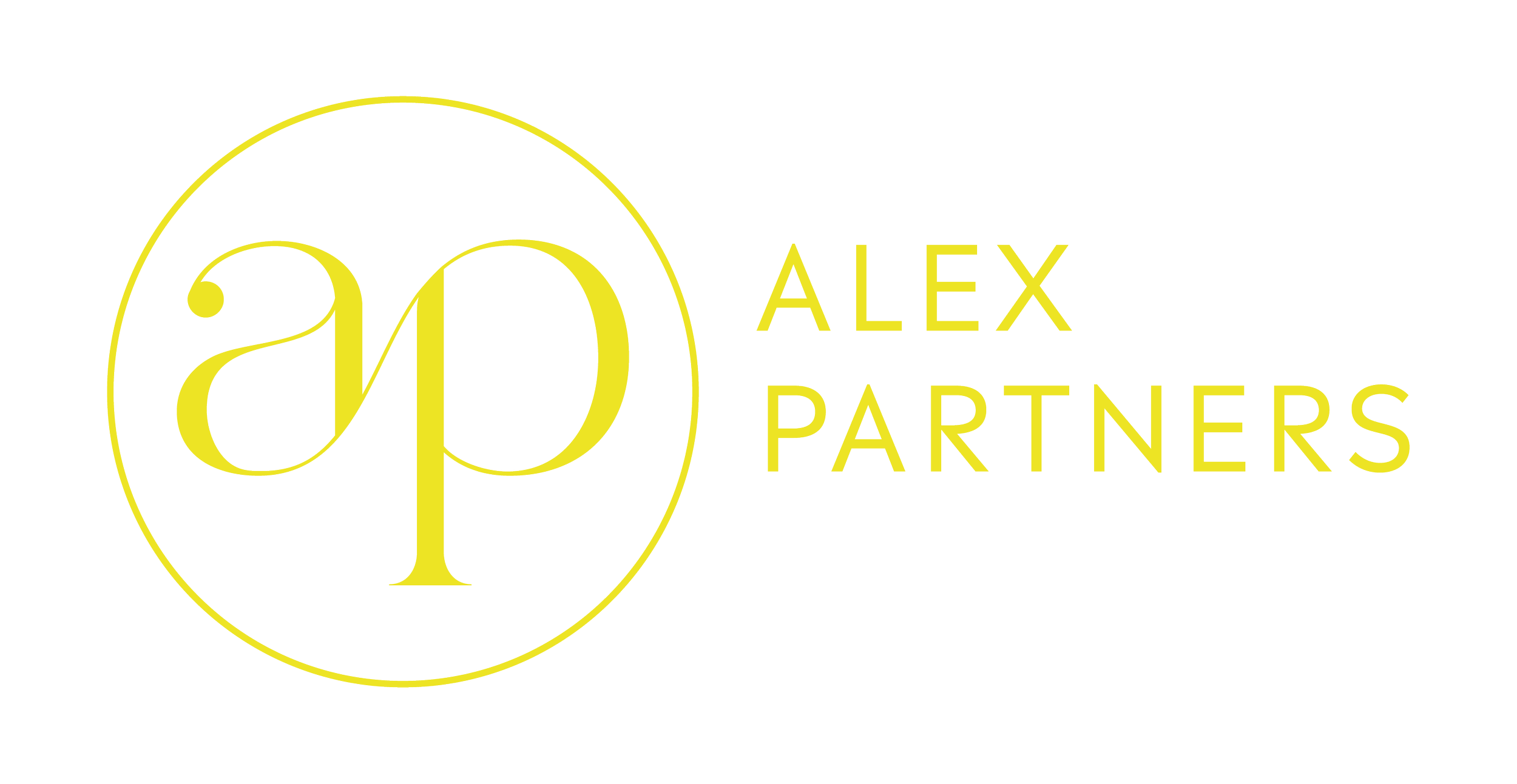 Alex Partners Executive Search Consultancy