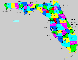 Florida Tax Deed Surplus Funds by County (Full Guide) — Visionary ...