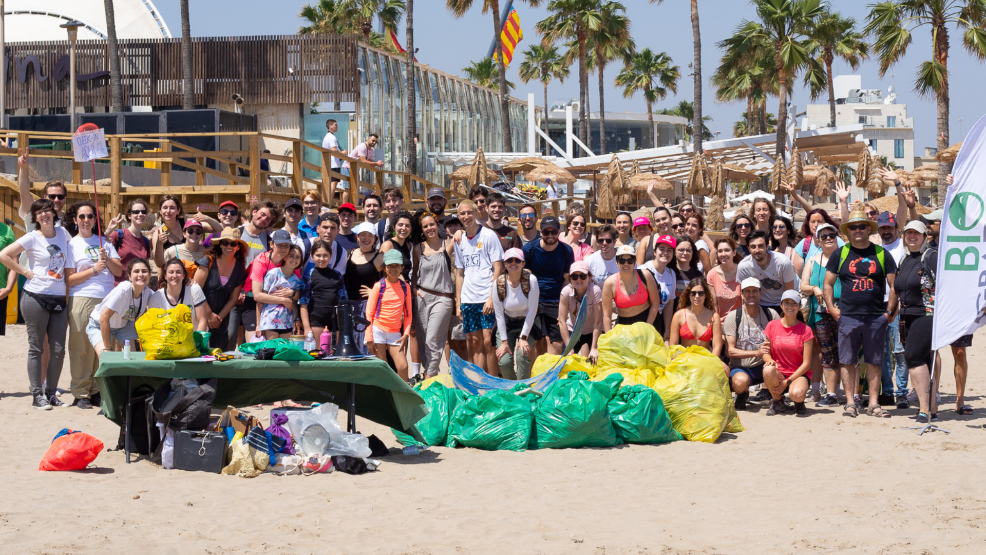 Overviews | Discover About Ocean Change — Plastic Oceans International