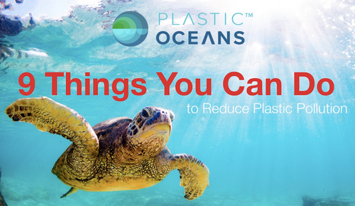Infographic: How You Can Help Reduce Plastic Pollution — Plastic Oceans ...