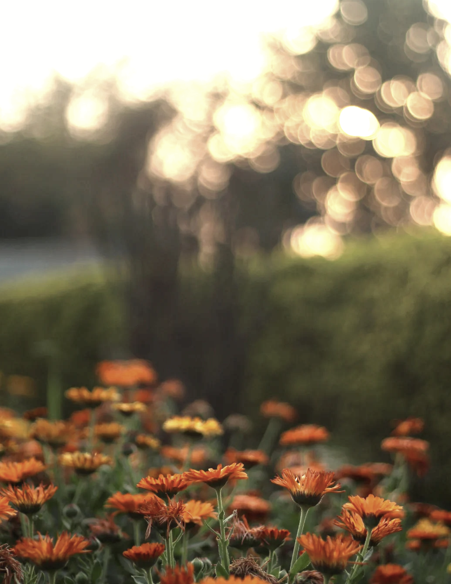 Discern where God may be leading you with this guided meditation series ...
