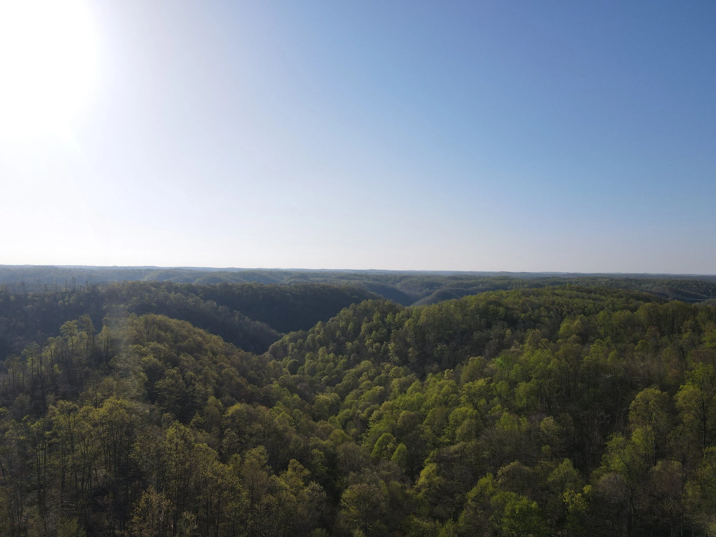 Superior Hardwoods of Ohio