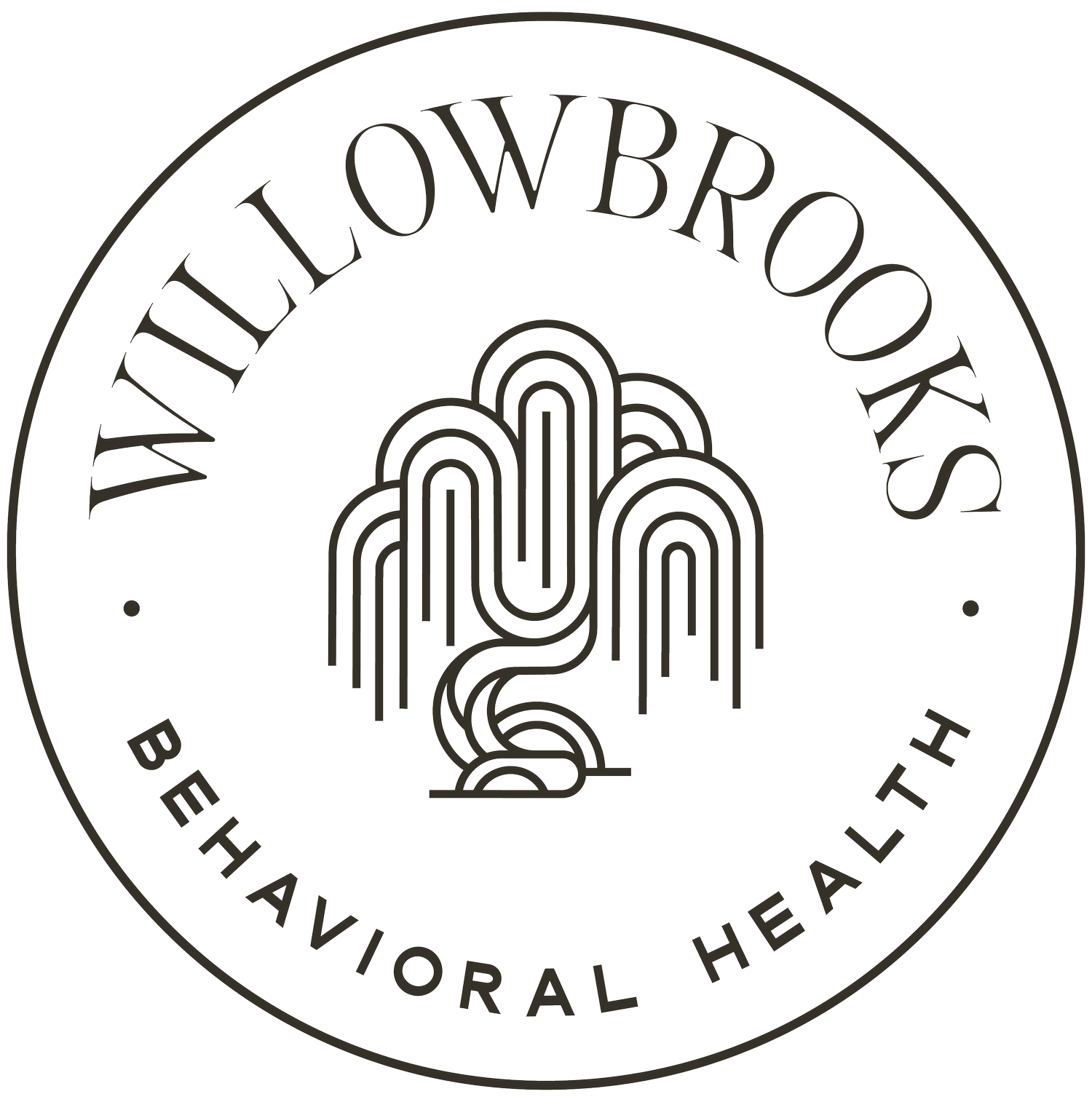 Willowbrooks Behavioral Health | Modern Therapy for Whole-Person Healing