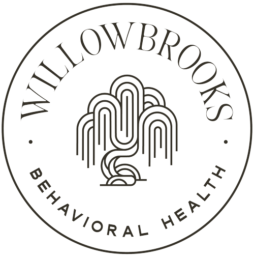 Willowbrooks Behavioral Health | Modern Therapy for Whole-Person Healing