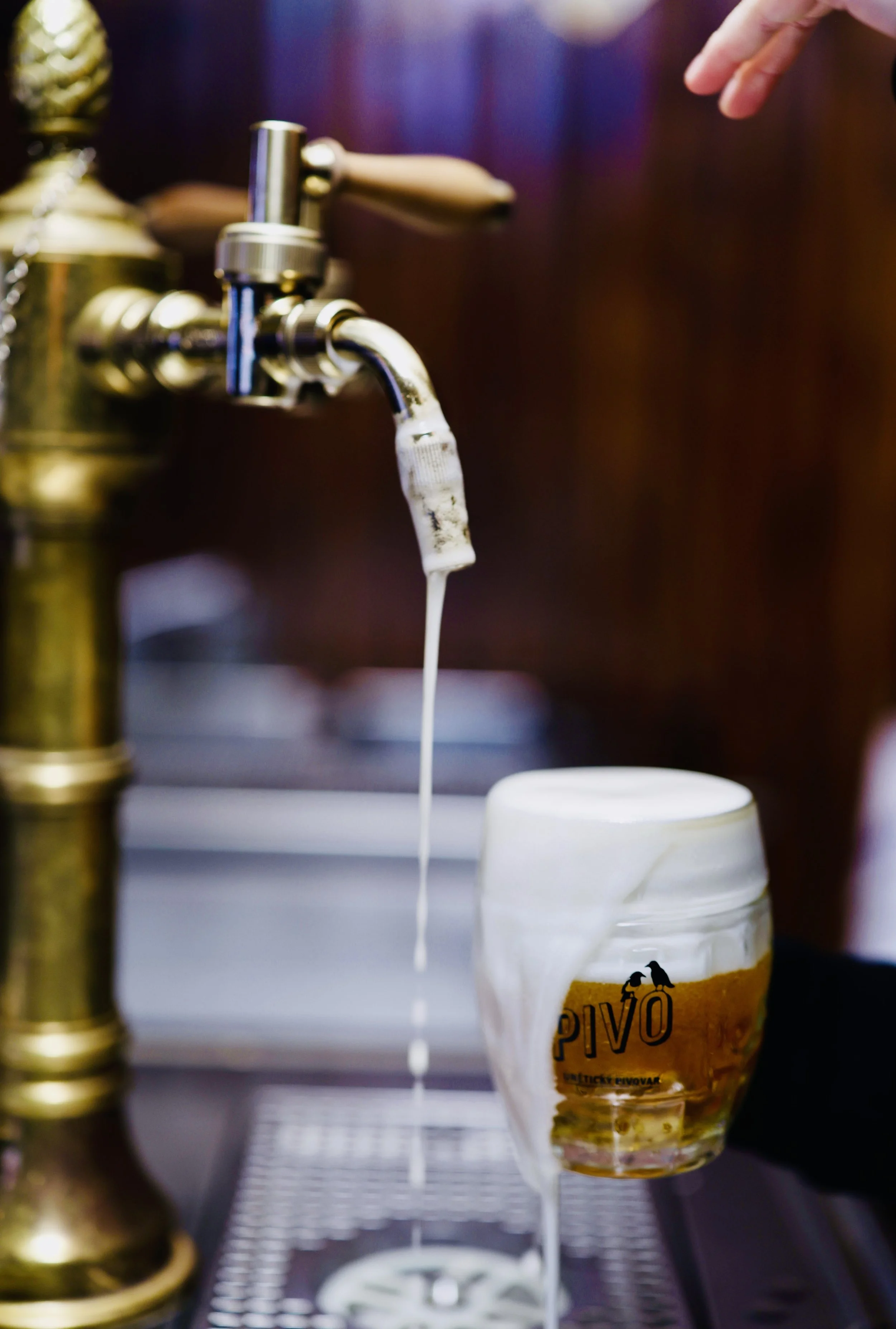 Pivnice Pivo
