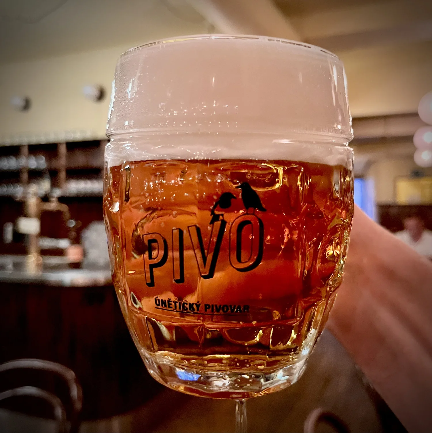 Pivnice Pivo