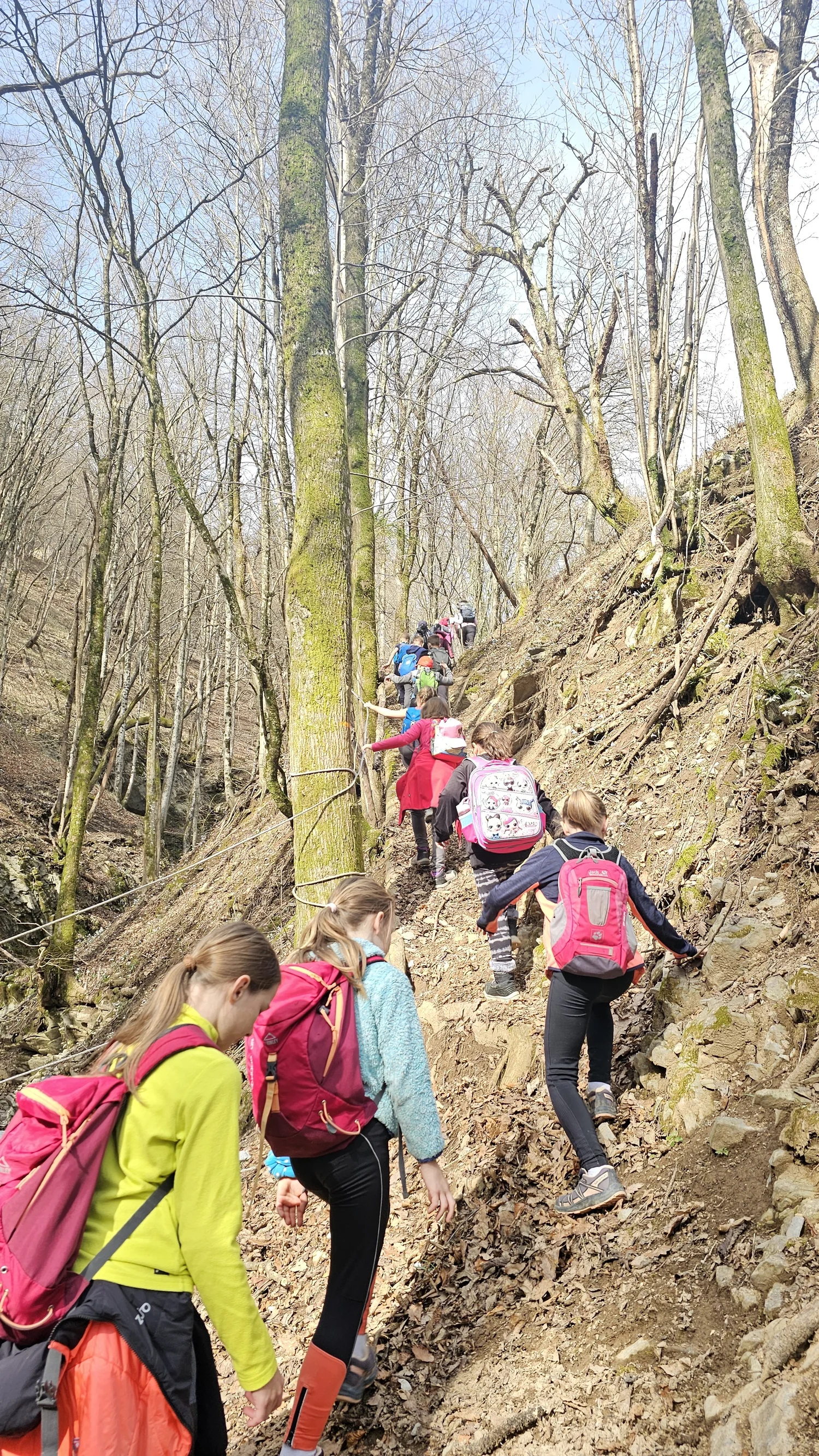 Mladinski odsek — Planinsko društvo Bohinjska Bistrica