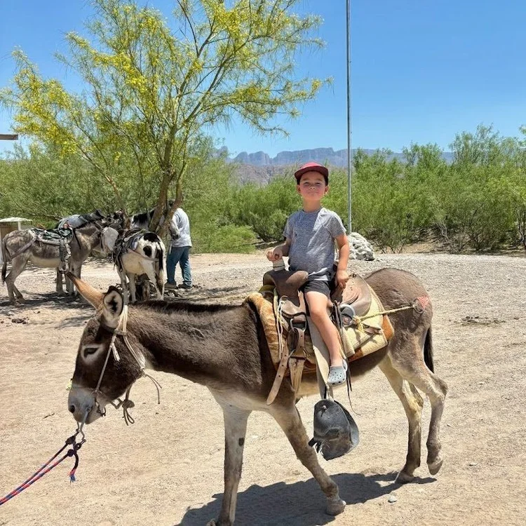 Big Bend National Park with Kids — El Paso Travel Family