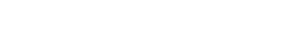 Lee's Story — Lee Pitcher MP