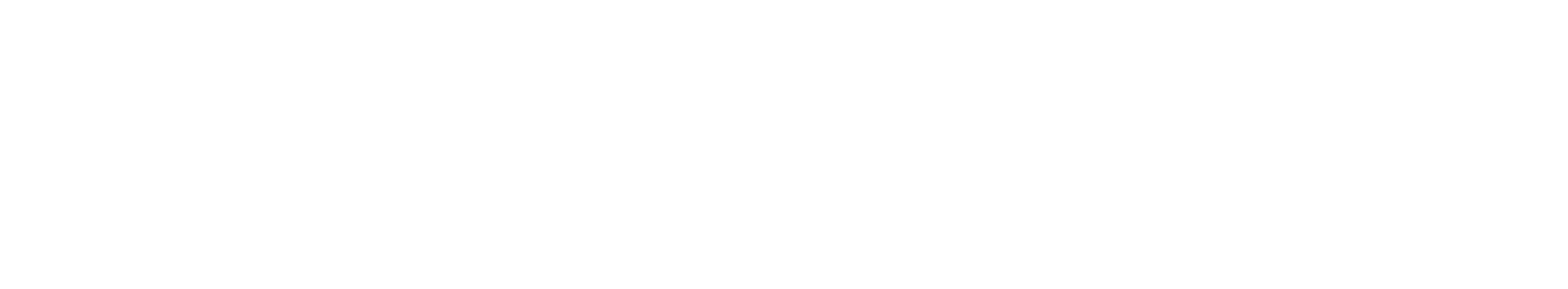 Lee's Story — Lee Pitcher MP