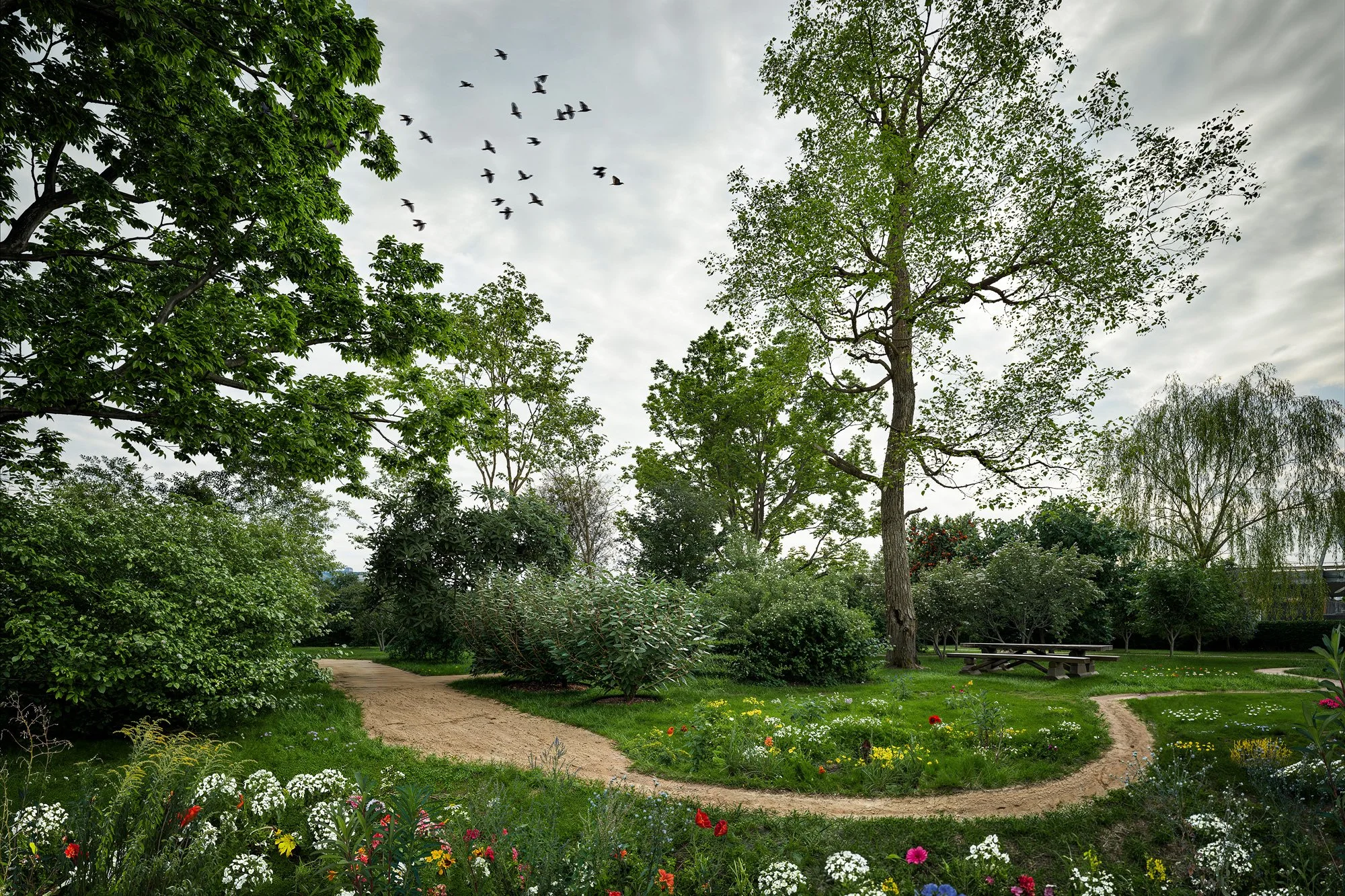 General 2 — Regrarians