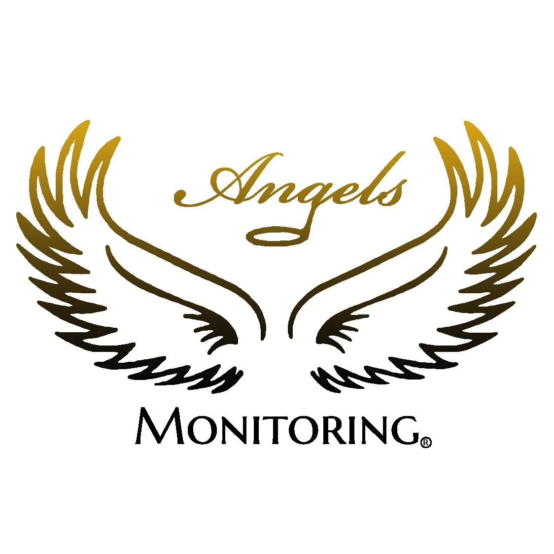 Angels Monitoring Non-Profit