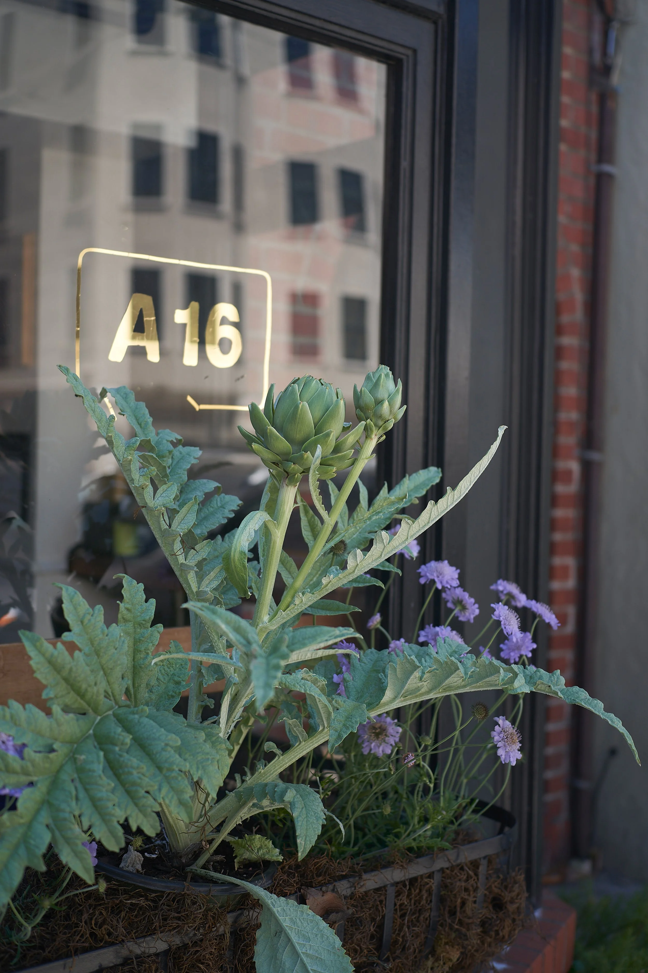 A16 San Francisco : About — A16