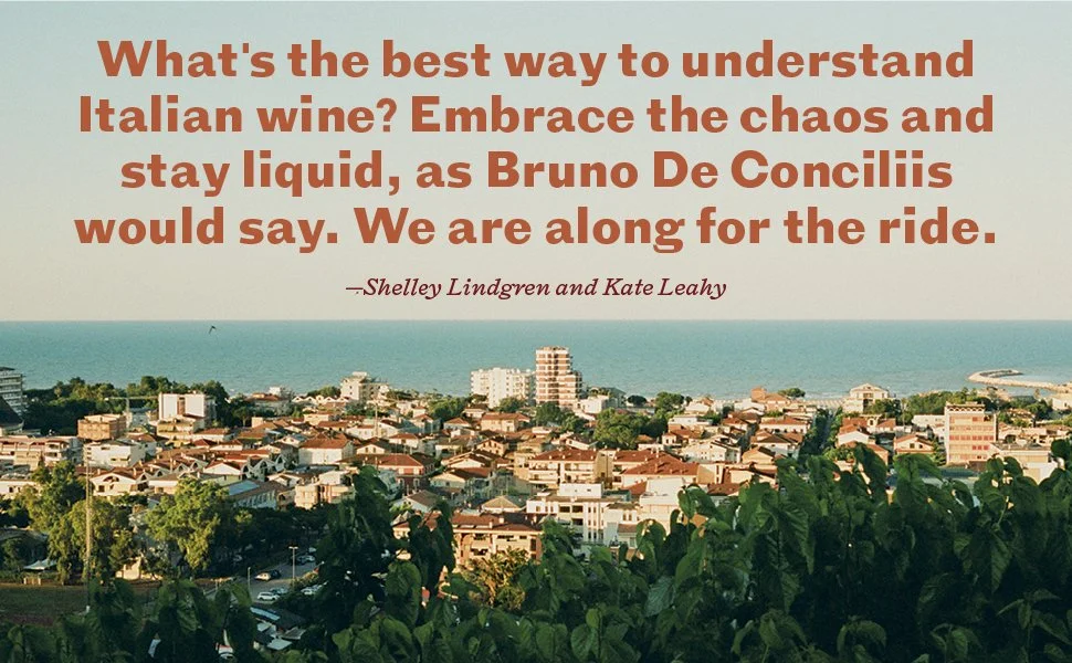 Book : Italian Wine | Discover Italian Wines Today — Enhance Your ...