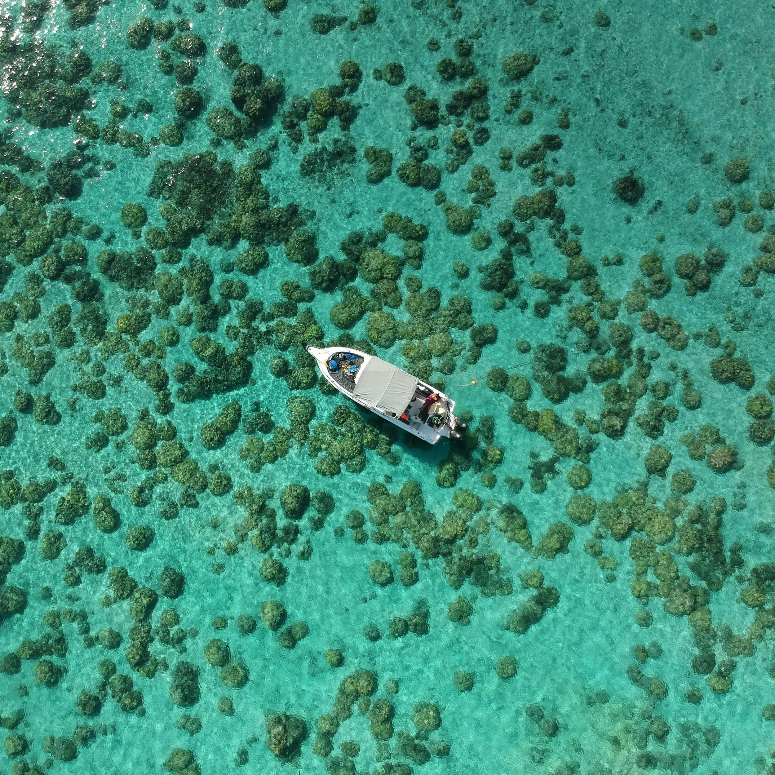 Expatriation à l’île Maurice – Obtenez votre visa facilement avec notre ...