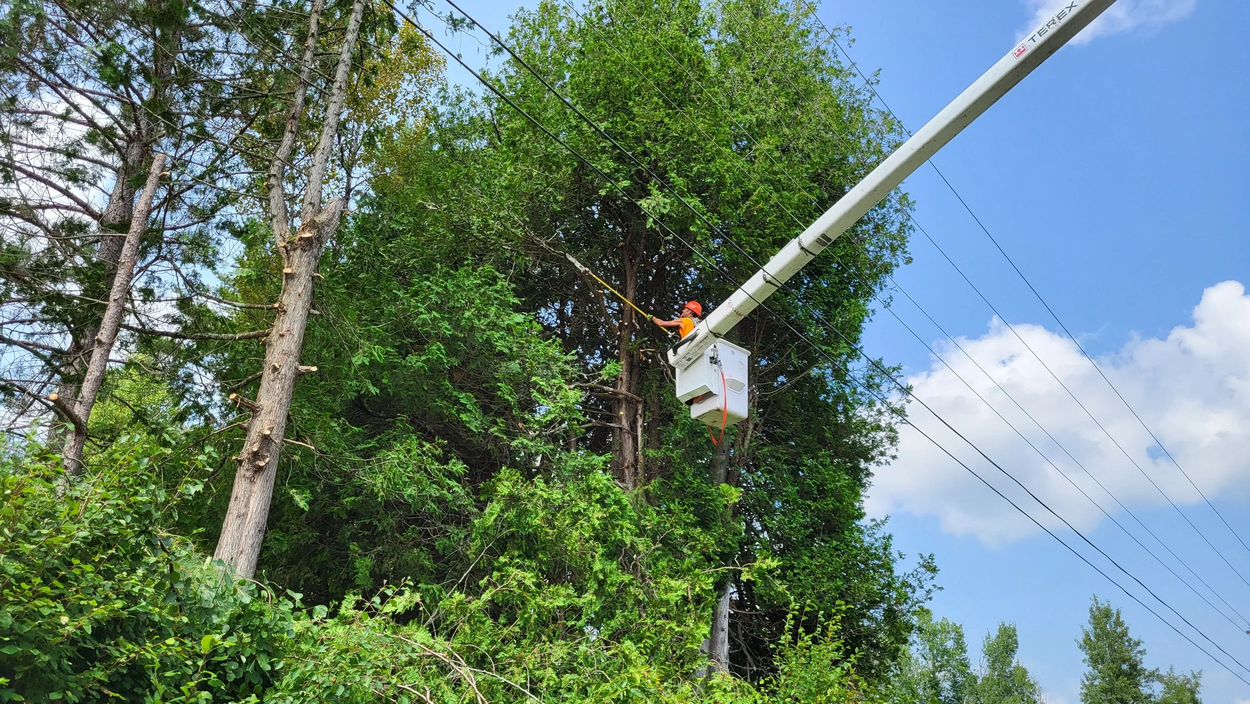 AVL Construction Group