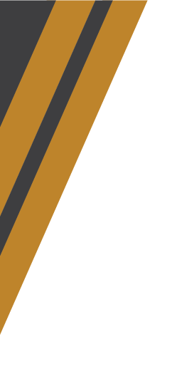 AVL Construction Group