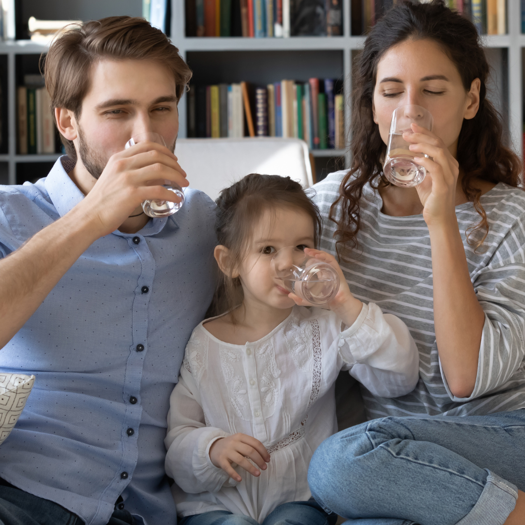 Let's Get Started — Purus-H2O