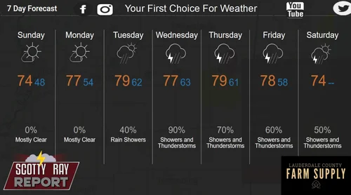 7-Day Forecast
