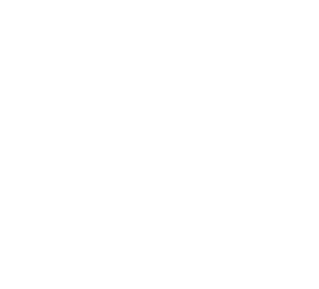 TalentWise Collective