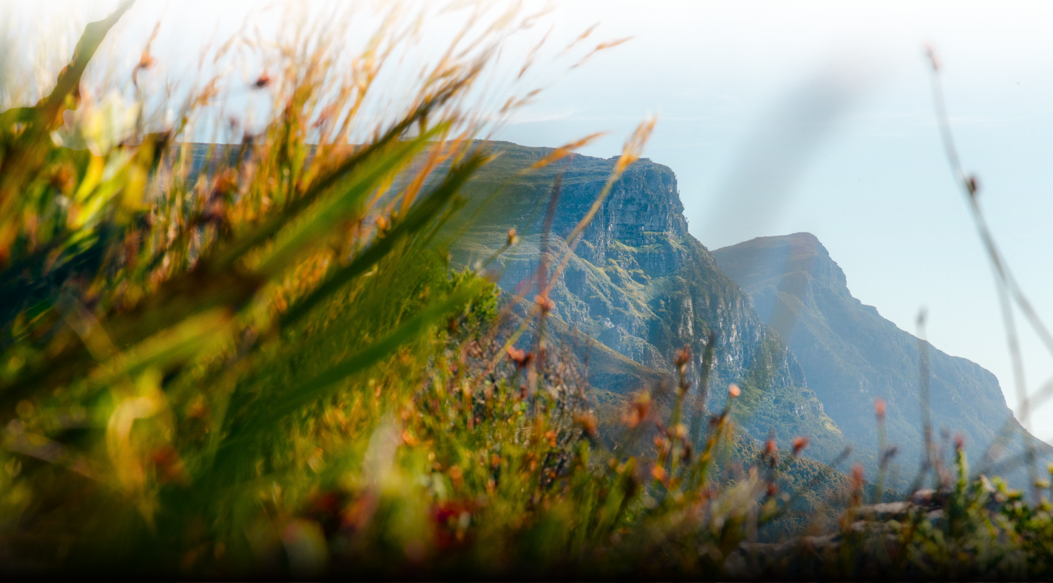 Cape Cobra Trail Marathon | Trail Run Race in the Western Cape