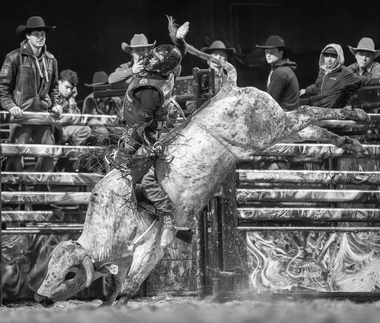 Professional Championship Bull Riders
