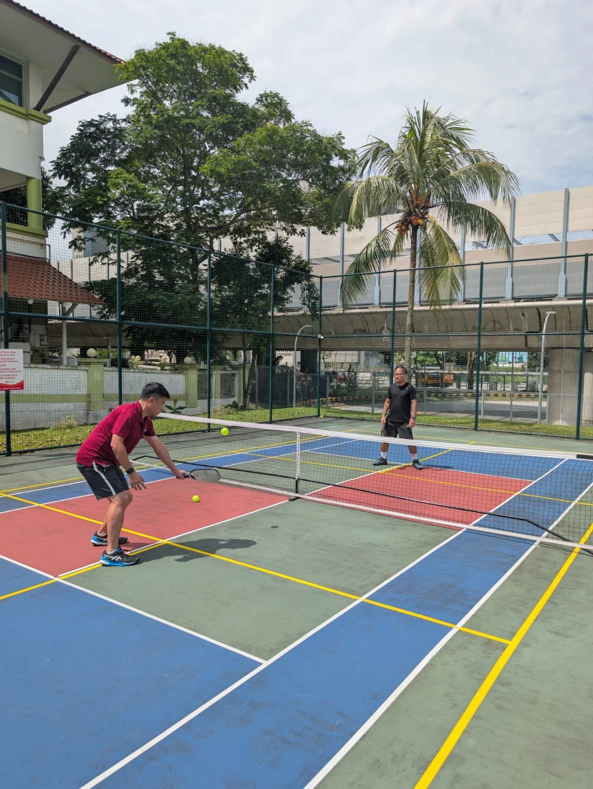 PickleZoneSG | Learn Pickleball Today — Join Us!
